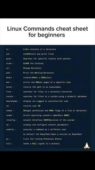 "Linux Basic Commands Cheat Sheet for Beginners🔥| Must-Know CLI Tools 💻"#hacking #coding # ...