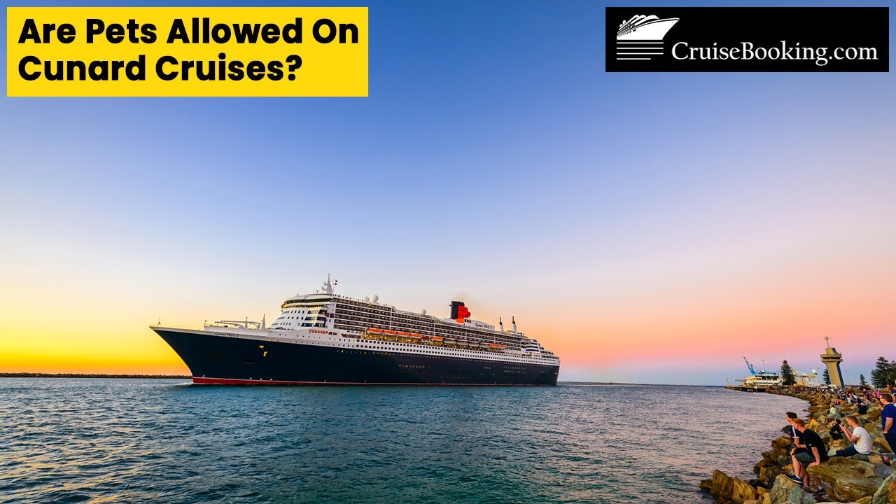 Are Pets Allowed on Cunard Cruises? | CruiseBooking.com - YouTube