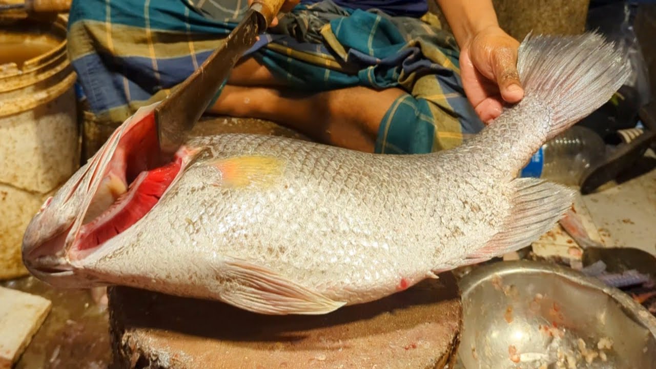Amazing koral fish cutting skill in Bangladesh fish market by expert ...