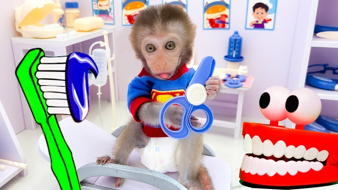 Baby Monkey Bon Bon goes to the dentist and eats watermelon and Puppy ...