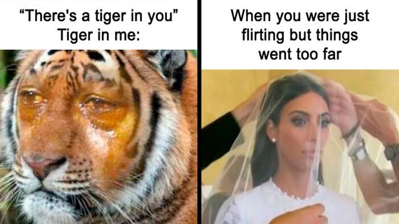 Hilariously Relatable Memes Shared On The “Freud Intensifies” Page ...