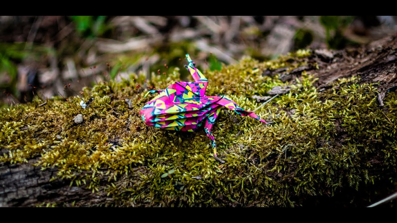 Origami frog (3D model)/DIY paper frog - YouTube