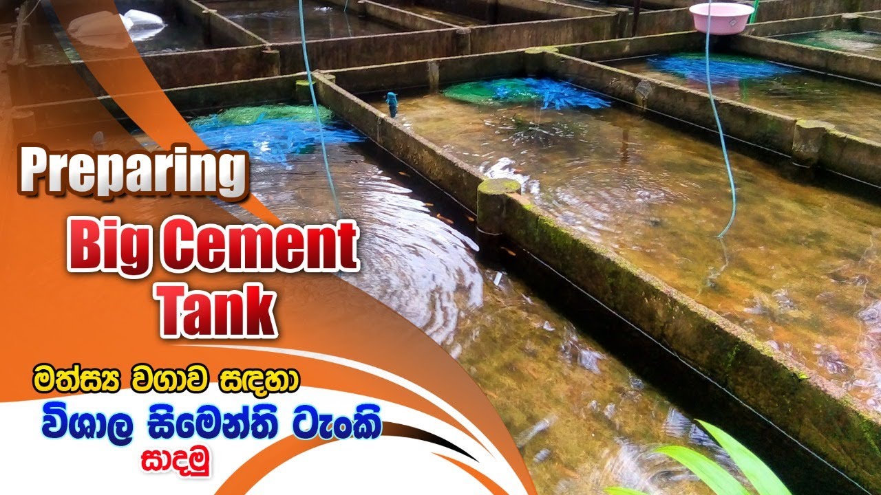 Easy way cement fish Tank , BST Saman,Fish Tank, සිම්න්ති ටැංකි,Cement ...