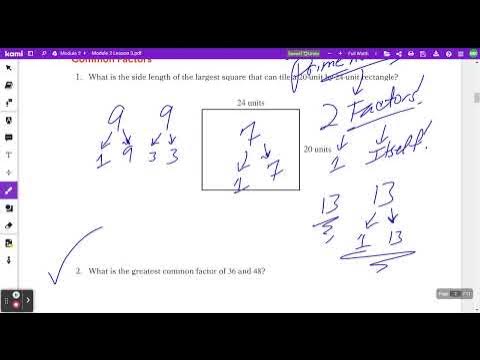 Eureka Squared - Grade 6 - Module 2 - Lesson 3 - YouTube