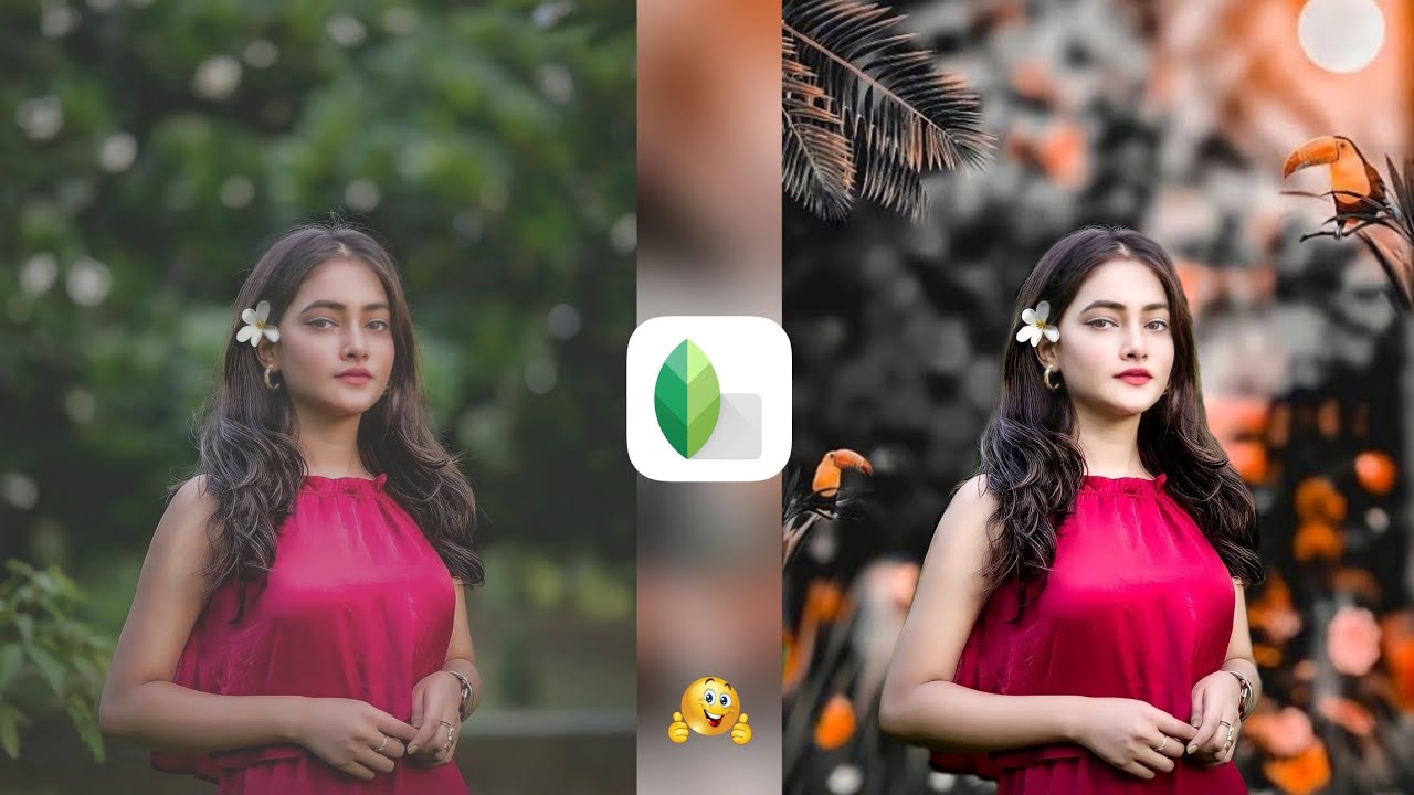 Snapseed Background Change Photo Editing | Snapseed Background Editing ...