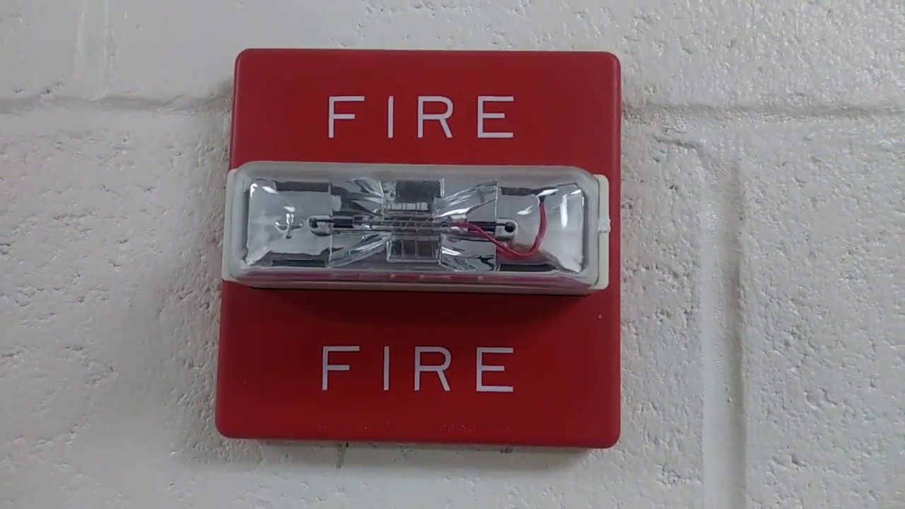 Wheelock RSS-24-MCW Fire Alarm Strobe - YouTube