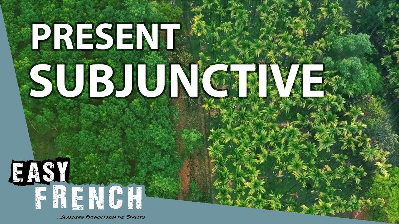 Present subjunctive | Super Easy French 47 - YouTube