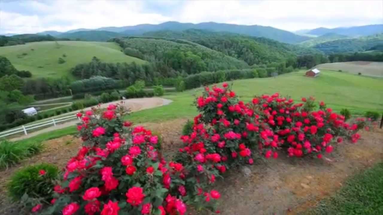 Captivating Appalachian Mountain Views in Butler, Tennessee - YouTube