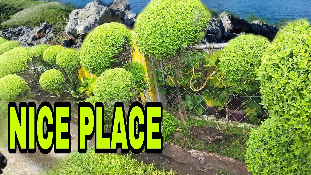 ANOTHER NICE PLACE [PICSART] - YouTube