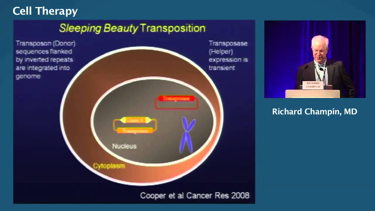 Cell Therapy for Allogeneic Stem Cell Transplant by Dr Richard Champlin - YouTube