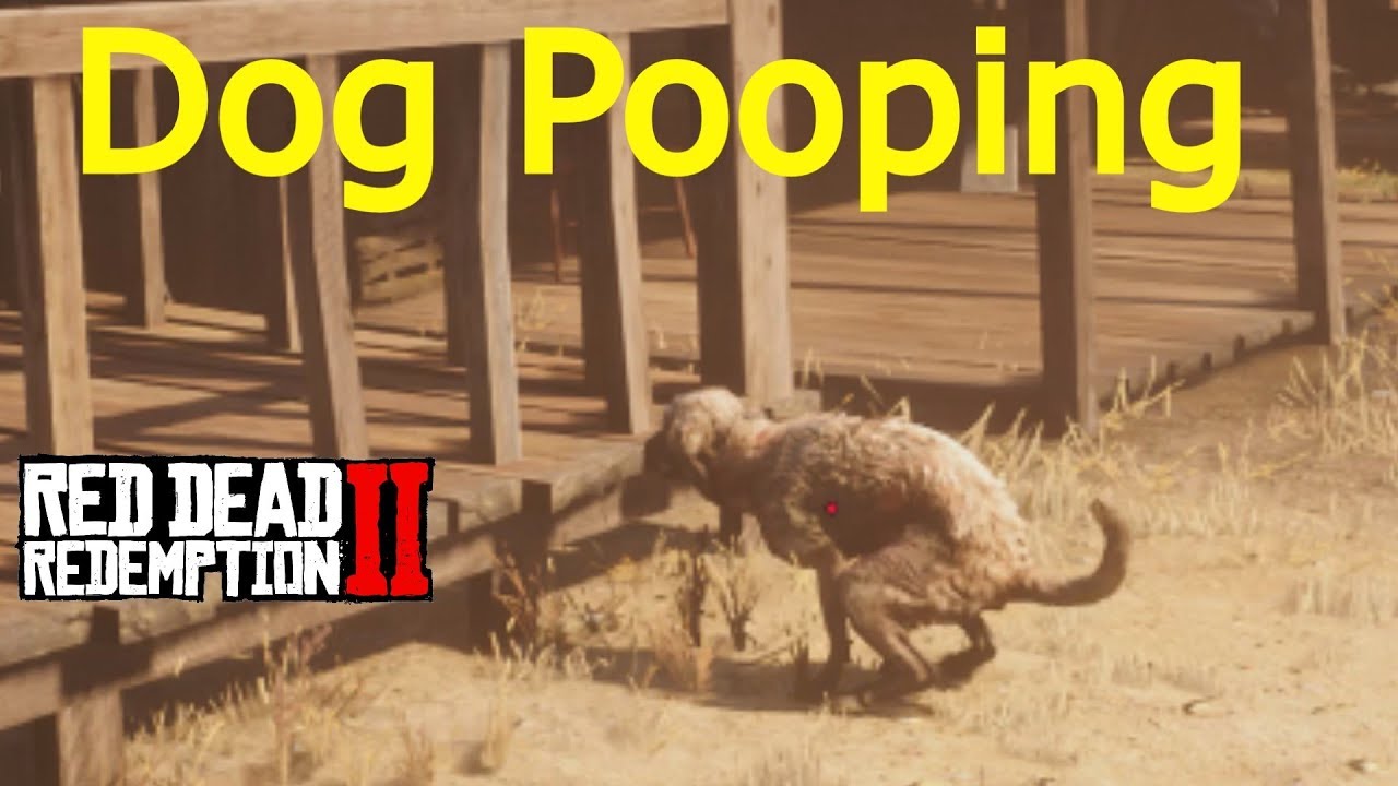 Red Dead Redemption 2 - Dog Taking a Poop! (Funny Moment) - YouTube