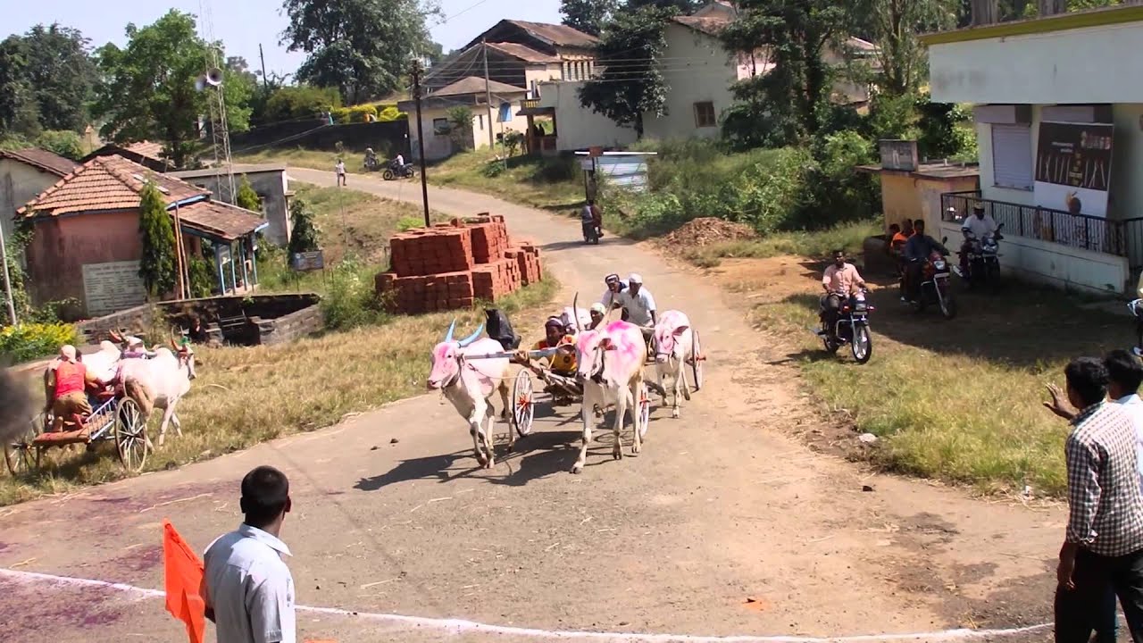 Halewadi bailgadi race 1 - YouTube