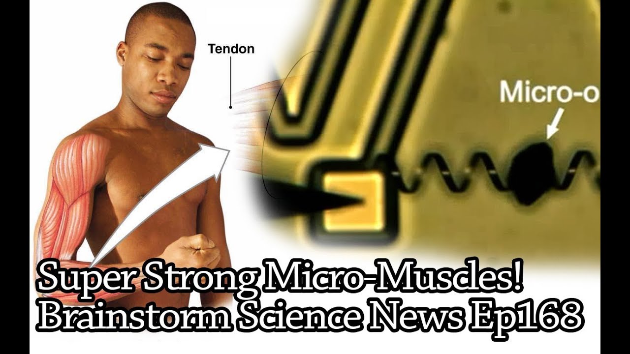 Super Strong Micro-Muscles! (Brainstorm Ep168) - YouTube