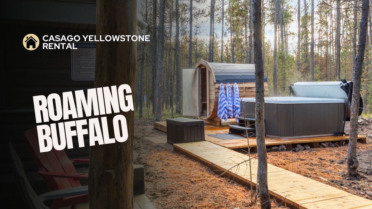 Relax at Roaming Buffalo - YouTube
