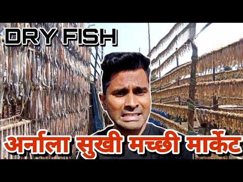 Mumbai Cheapest Sukhi Fish Market In Virar Arnala Island Virar Wholesale Fish Market India #fish