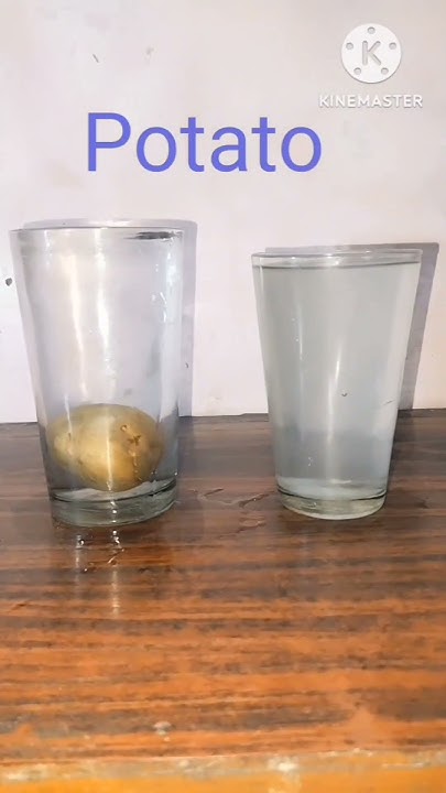 NORMAL WATER VS SALT WATER |SCIENCE EXPERIMENT| #ExperimentWala# ...