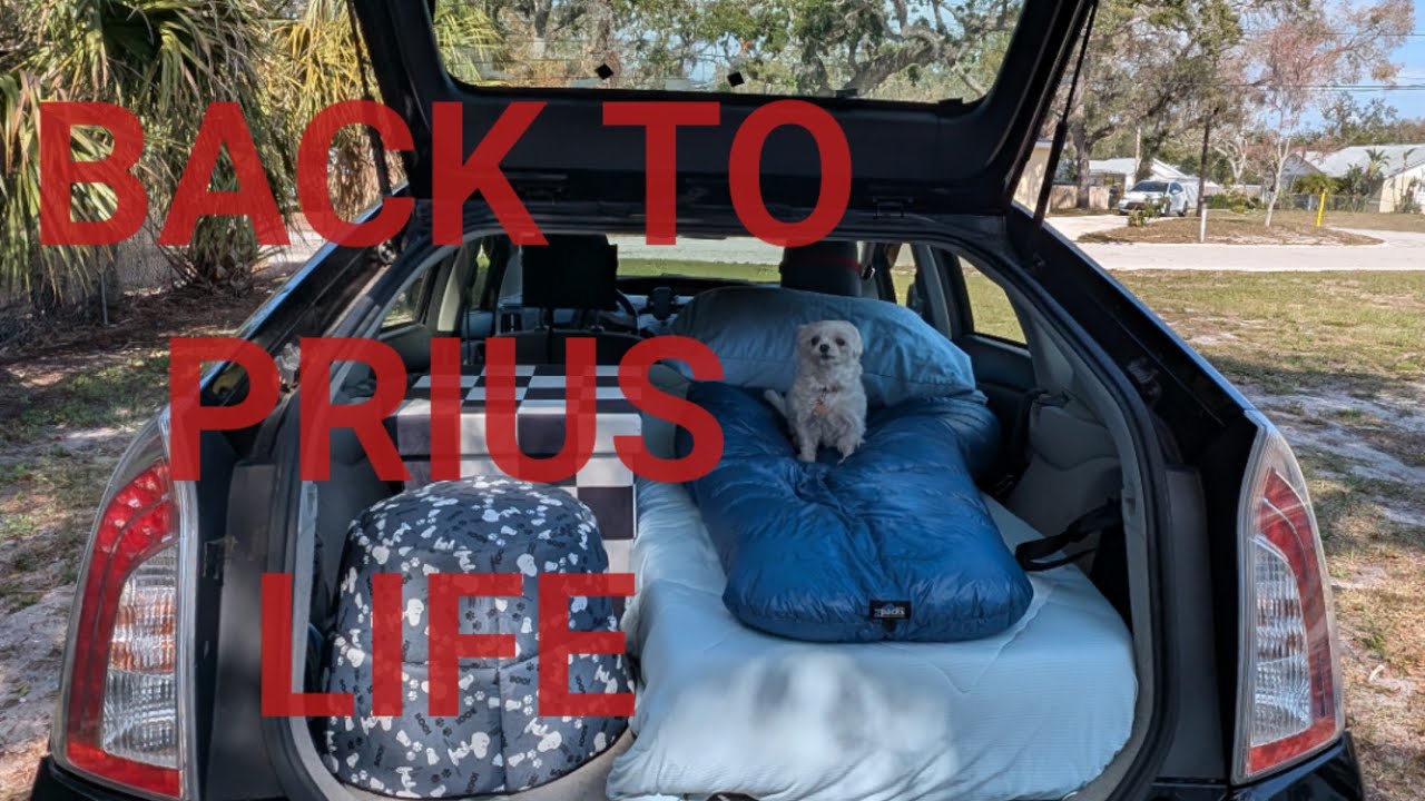 NEW PRIUS SET-UP TOUR, QUICK LIFE UPDATE, FUTURE PLANS - YouTube