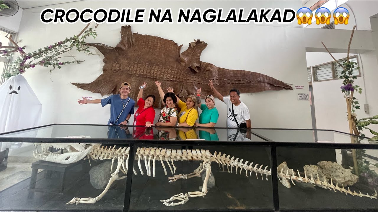 We go to CROCODILE FARM here at PUERTO PRINCESA 🥳 - YouTube