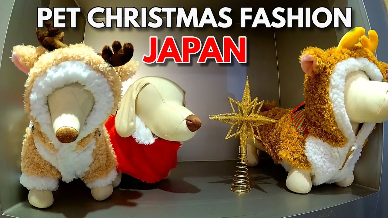 Harajuku's Pet Paradise Store: Fashion Haven for Dogs - YouTube
