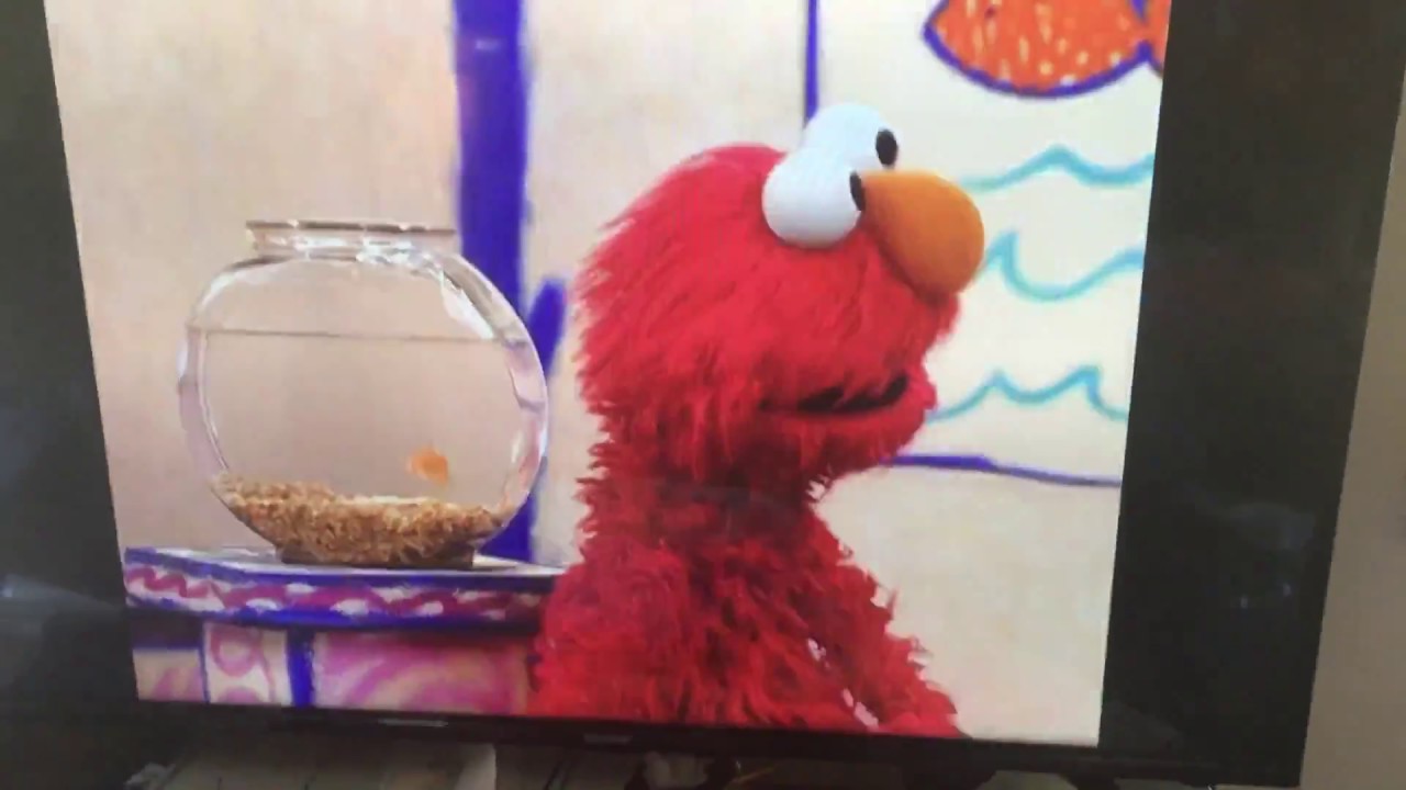Copy of Elmo friend zoe baby bear Grover Erine rosita count - YouTube