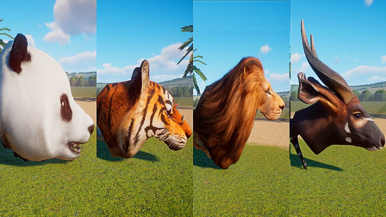 Animals With Deformed Heads Race included Giant Panda, Bengal Tiger ...
