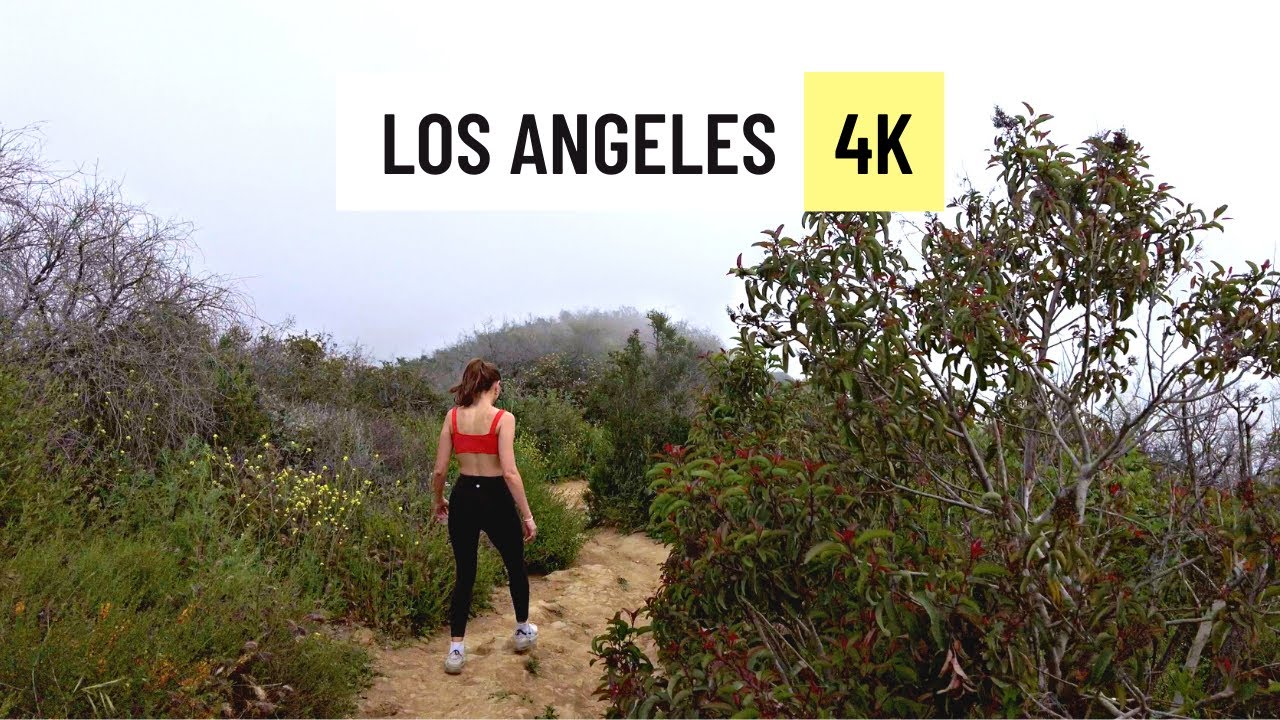 Temescal Canyon Hike Temescal Gateway Park, 15601 W Sunset Blvd,