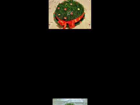 Novruz bayrami mahnisi