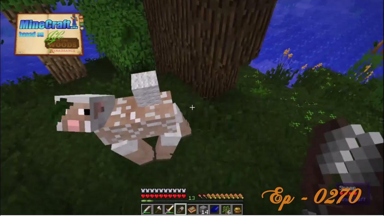 🎄 Minecraft / 🎁 Ep 0270: Nude Sheeps and the Random #DoSomething - YouTube
