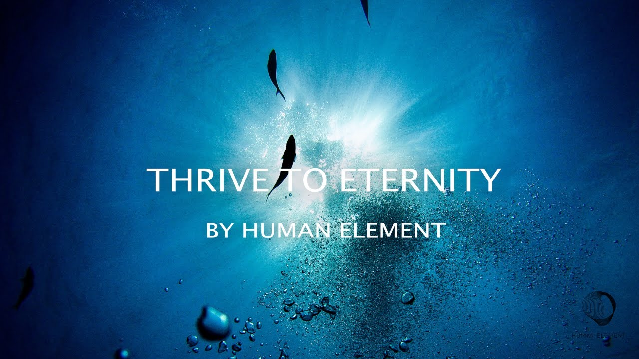 Human Element - Thrive to Eternity | Progressive House | DJ Set - YouTube