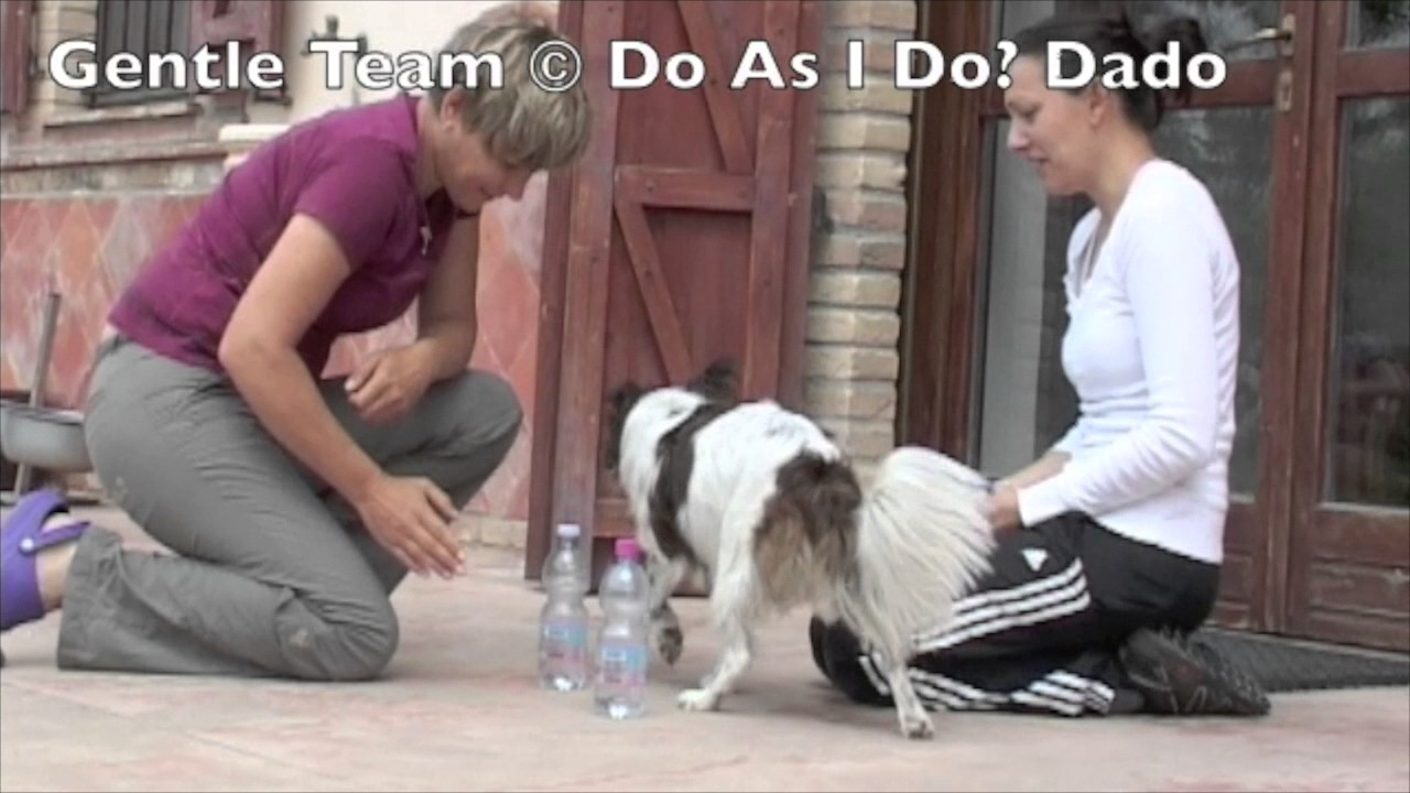 Model/rival in the learning setting - YouTube