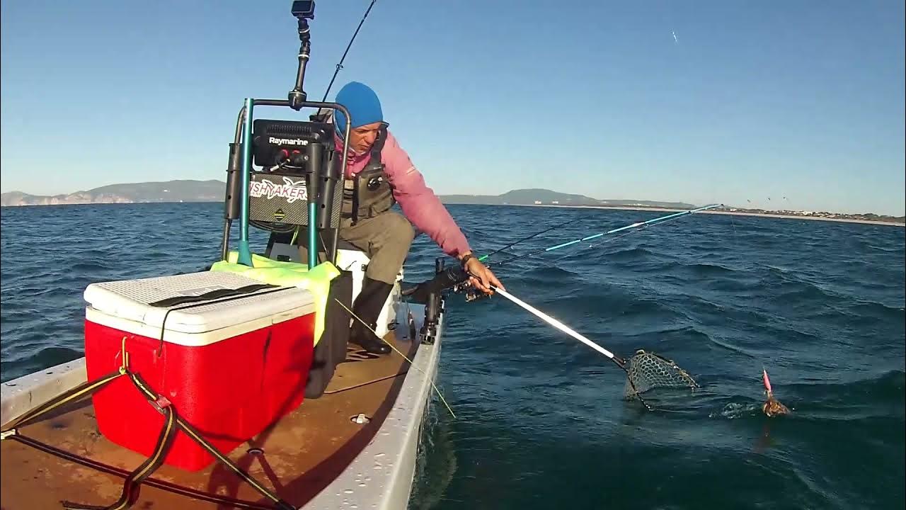 Micro Skiff Angler #5 cuttlefish - Pesca ao choco - YouTube