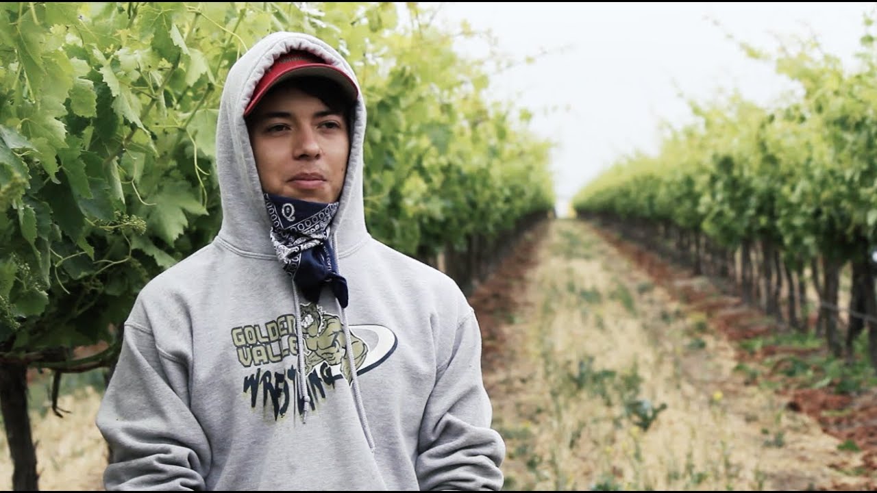 Field Worker - YouTube