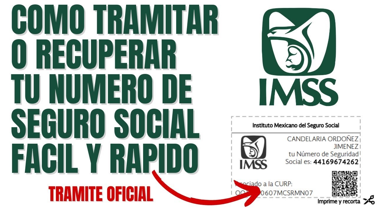 Obtén tu Número de Seguridad Social IMSS en Línea | Guía Paso a Paso ...
