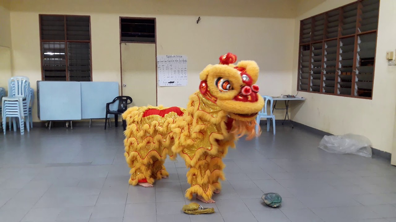 Kids Lion Dance - YouTube
