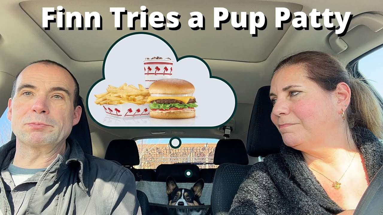 Finn the Corgi Tries a Pup Patty from In-N-Out Burger - YouTube