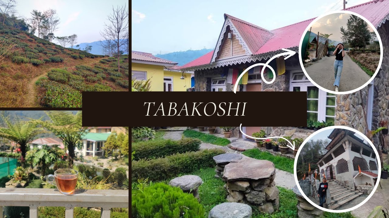 Tabakoshi || How to reach || Tea Village Homestay || Off Beat Hill ...