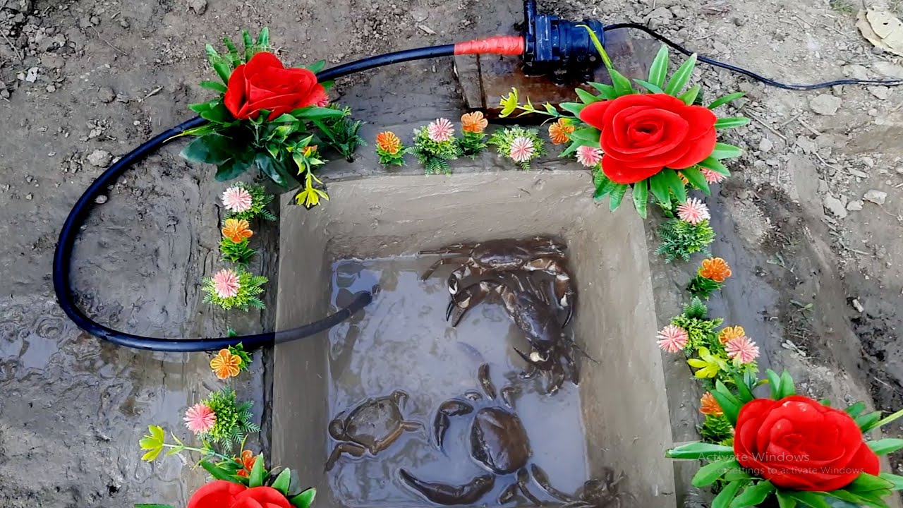 Mini Water Pump Farming Mini Powered Water Pump Farming Science fishing ...