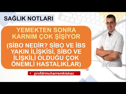 SIBO Nedir ve Neden Karın Şişiyor? Yemekten sonra şişkinlik yaşıyor musunuz? SİBO İBS yakın ilişkisi