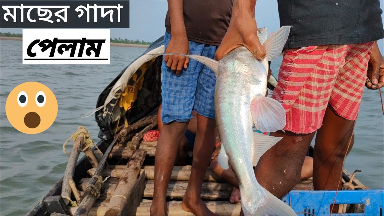 আজও হারিয়ে দিলাম আকাশ ভাইকে!! মাছের গাদা ধরলাম। l caught a pile of ...