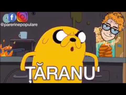 😂😂😂chesti tresti! - YouTube