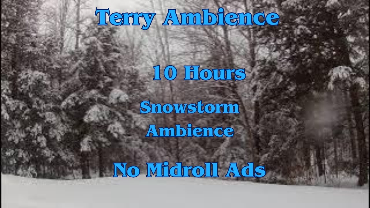 Real Snowstorm Ambience Loop Recorded Jan 2024 10 Hours - YouTube
