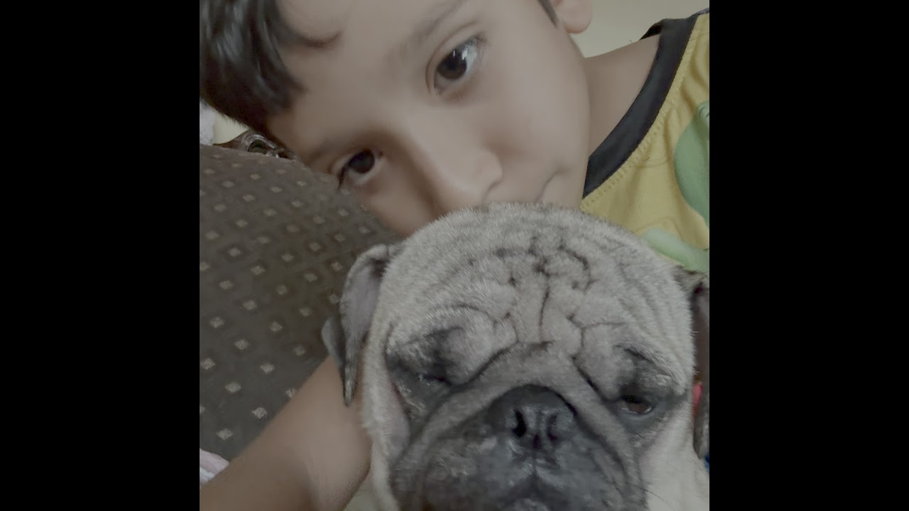 Sean Pineda the goat Live Stream - YouTube