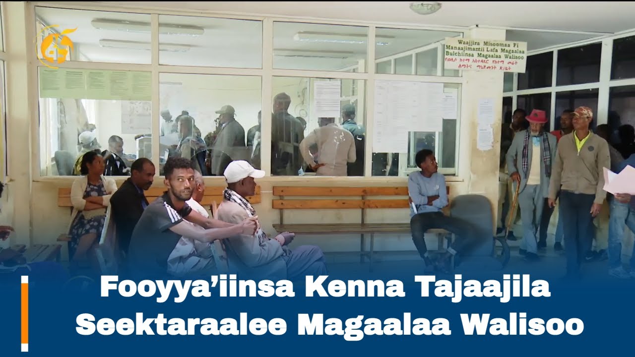 Fooyya’iinsa Kenna Tajaajila Seektaraalee Magaalaa Walisoo - YouTube