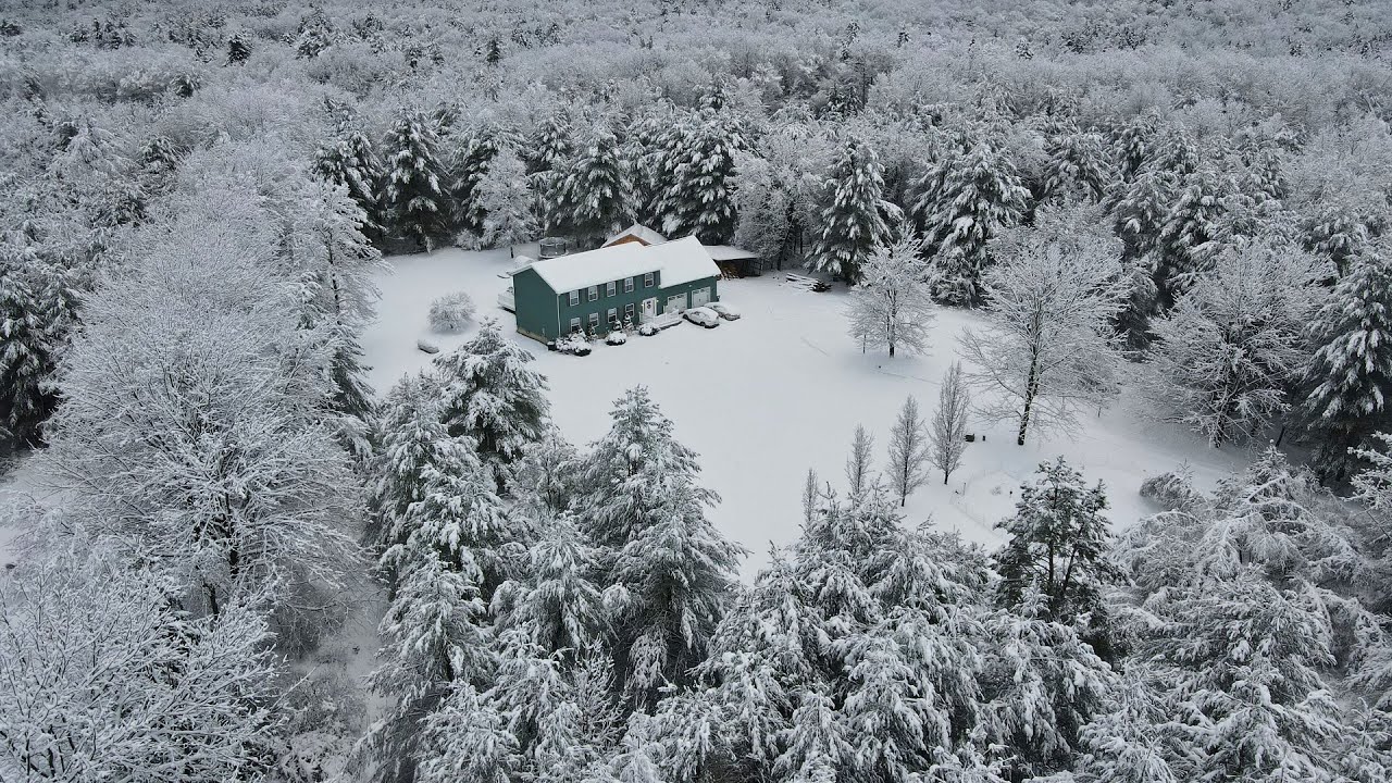 An Epic Morning at the Homestead - YouTube