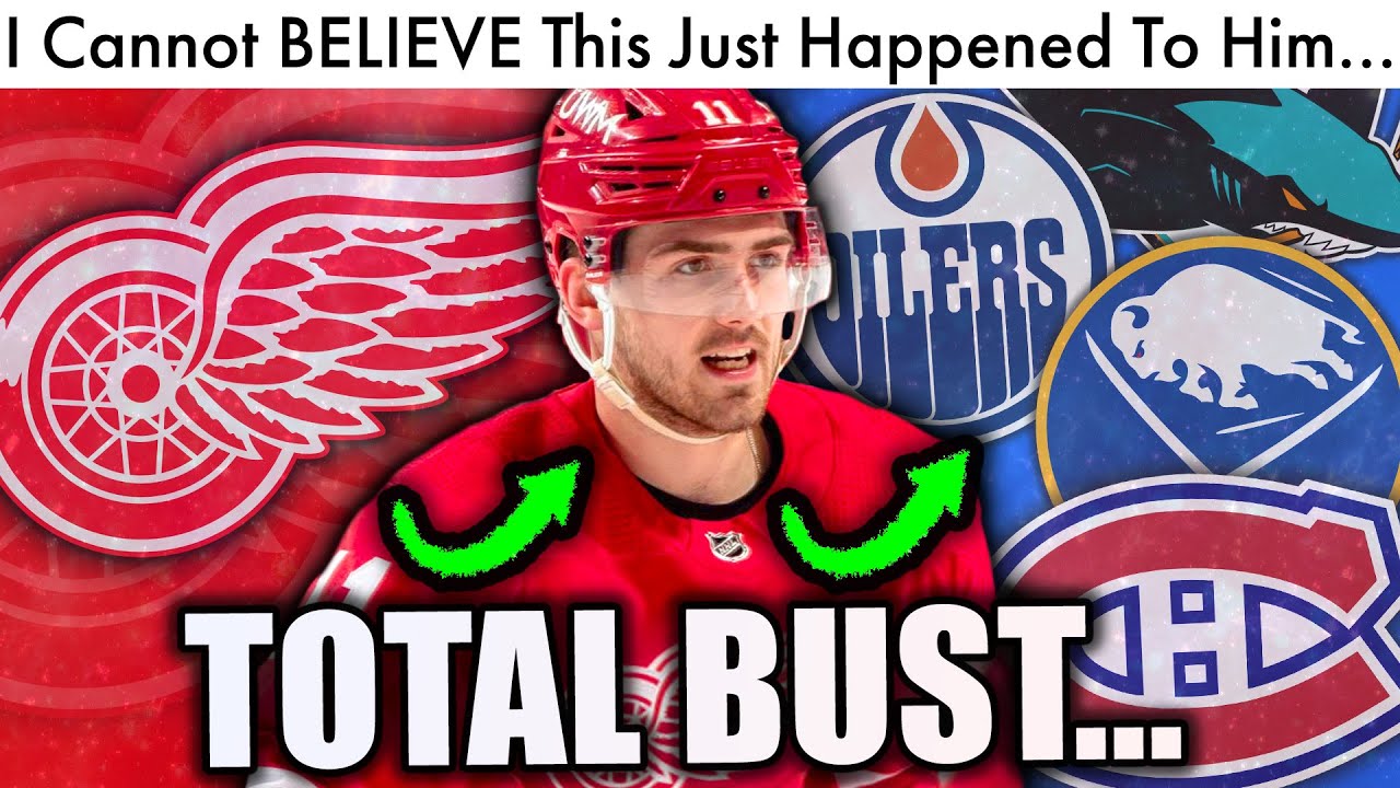 Hockey Memes Red Wings