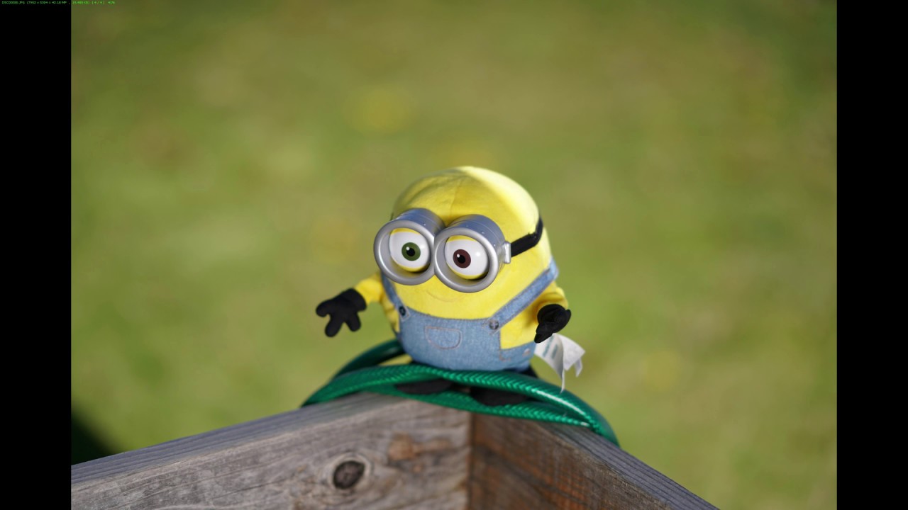 Sony Mirrorless Cameras bokeh rendering is affected by Eectronic First ...