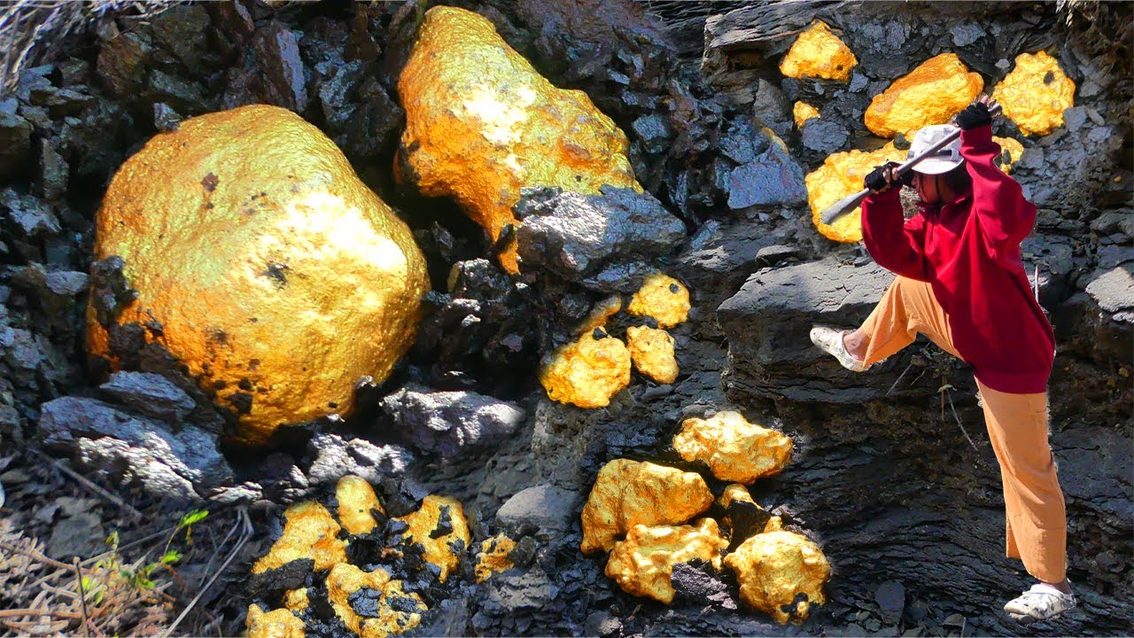 The adventure of a gold treasure hunt, searching for treasures hidden ...