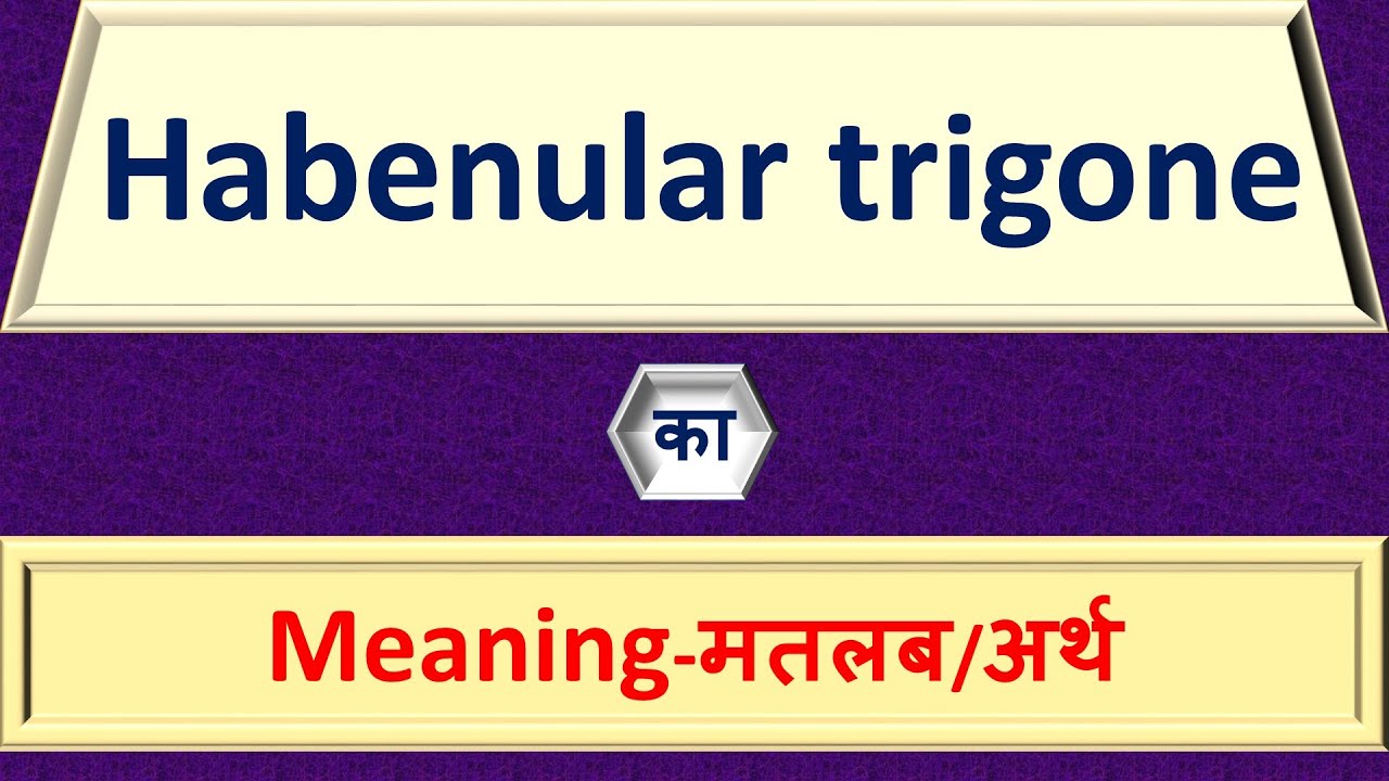 habenular trigone Meaning In Hindi | habenular trigone Ka Hindi Me ...