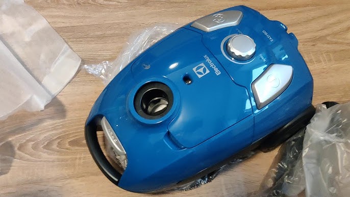 Aeg Vx4-1-wr-a Bolsas Best Selection | www.pinnaxis.com