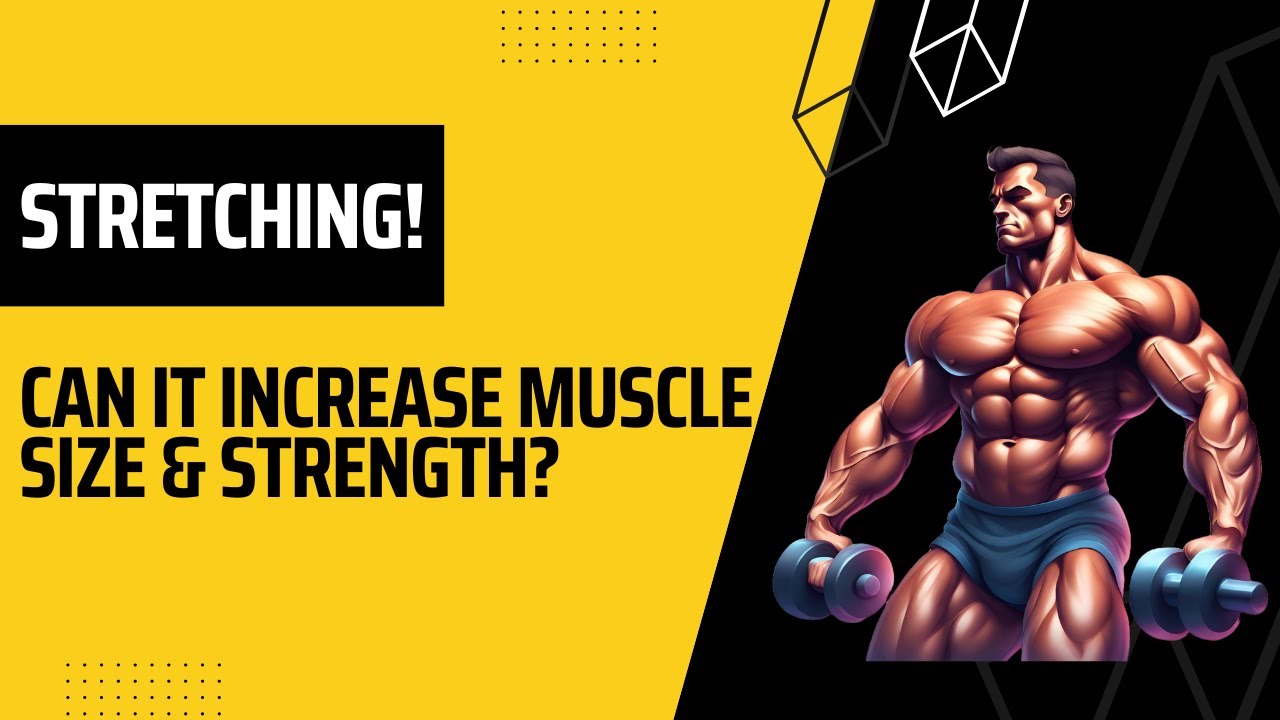 Stretching v Strength Training! What leads to best adaptations? - YouTube